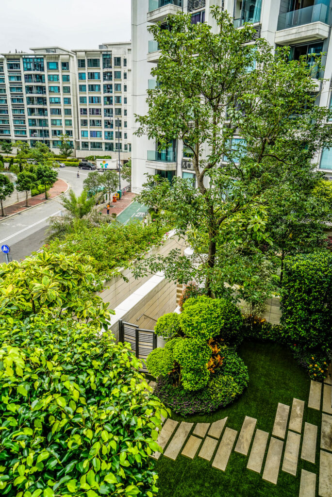 Soft Landscape Enhancement in TPTL 186 Pak Shek Kok Tai Po - Tarzan ...